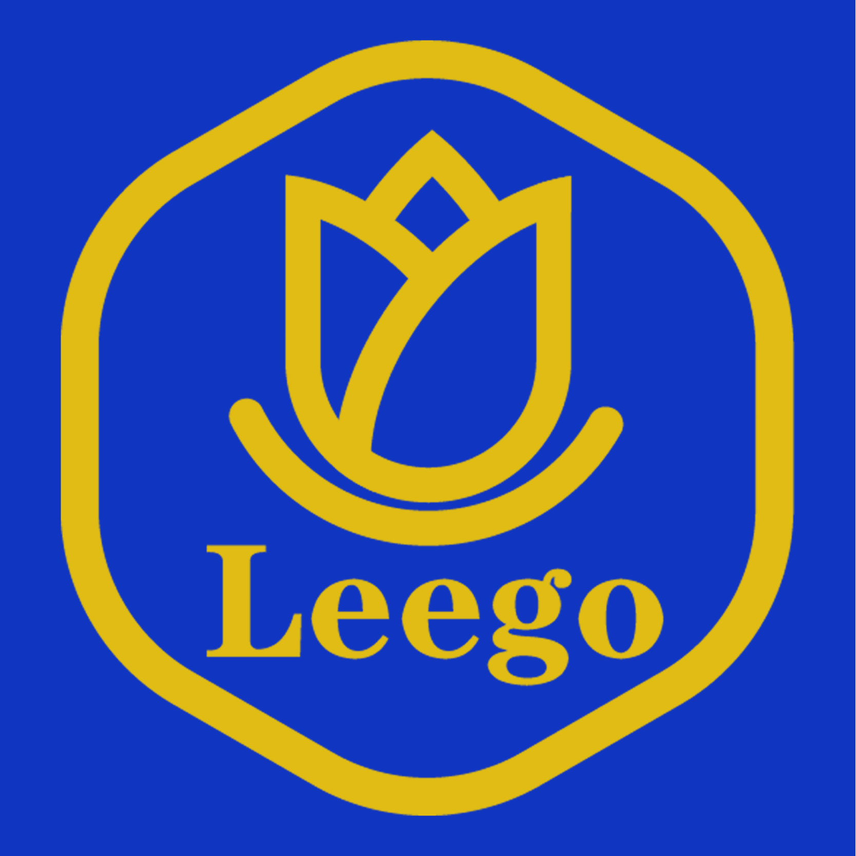 Toko Resmi Leego.mall.ID Online | Lazada.co.id