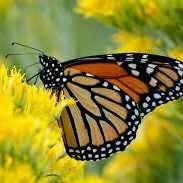 Toko Resmi alka_2 Online | Lazada.co.id