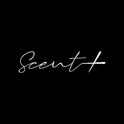 Toko Resmi Scentplus Indonesia Online | Lazada.co.id