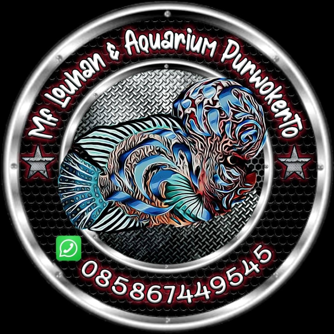 Mas Fuad Toko resmi di Indonesia, Online Shop 04 2025