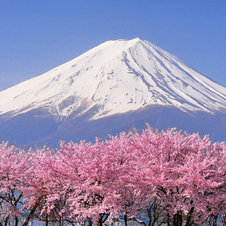 Toko-kosmetik9 Indonesia Toko Resmi Online | Beli Sekarang di Lazada