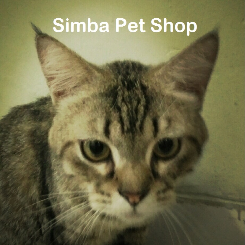 Simba Junior Pet Shop Indonesia Toko Resmi Online | Beli Sekarang di Lazada