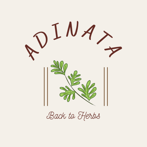 Adinata_ Toko resmi di Indonesia, Online Shop 02 2025