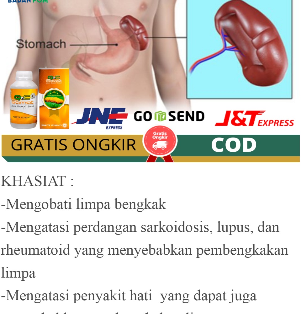 Obat Herbal Limpa Bengkak Jelly Gamat Emas di Jakarta Pusat - Tribun ...