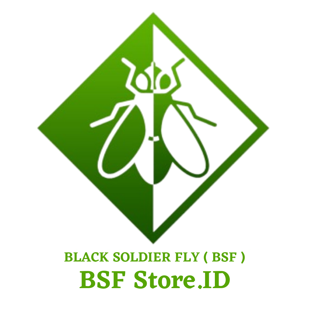 BSF Store.ID Toko resmi di Indonesia, Online Shop 05 2025