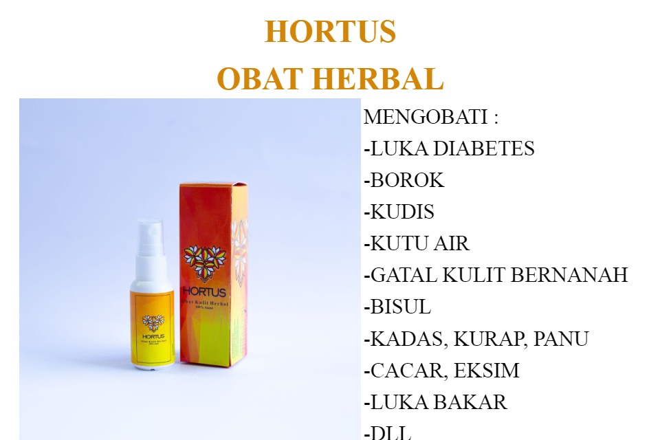 Hortus Obat Kulit Luka Diabetes Militus Obat Ketombe Psoriasis Borok ...