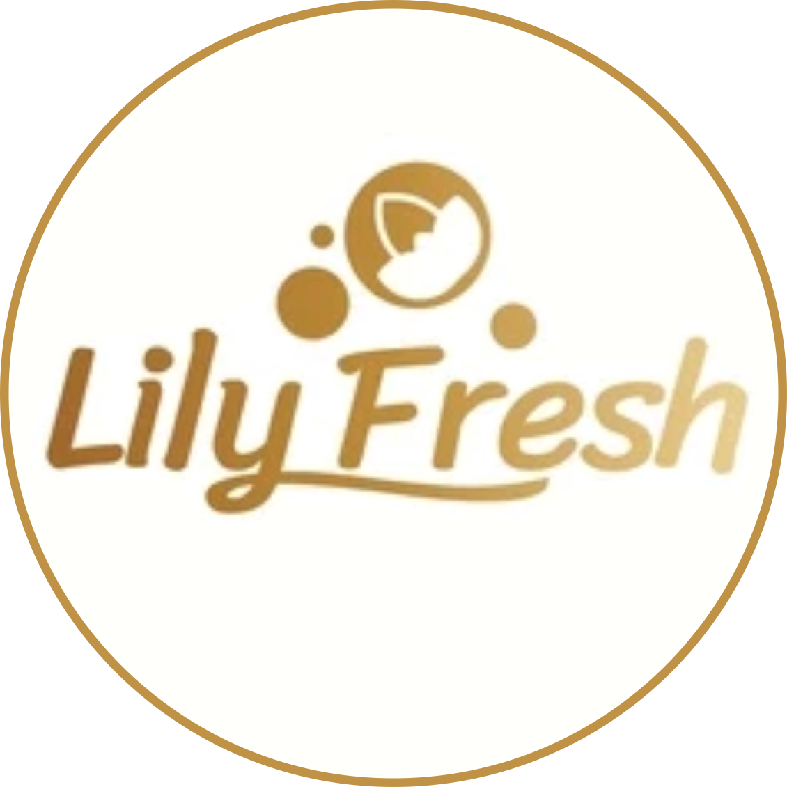 Lily Fresh Store Toko resmi di Indonesia, Online Shop 01 2025