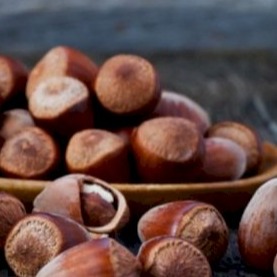 Toko Resmi Netro_oficial Online | Lazada.co.id