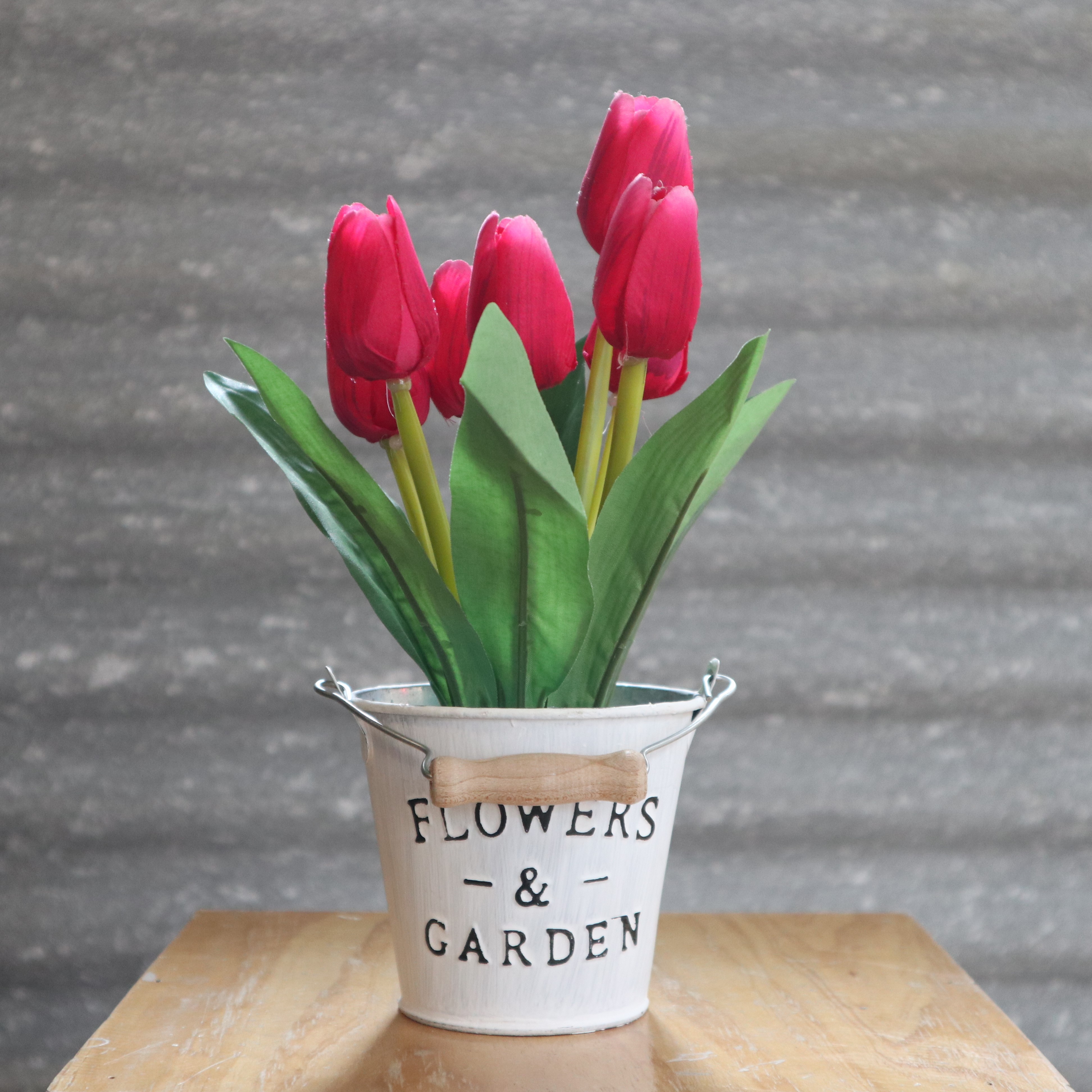 20+ Gambar Bunga Tulip Layu yang Mantul! - Informasi Seputar Tanaman Hias